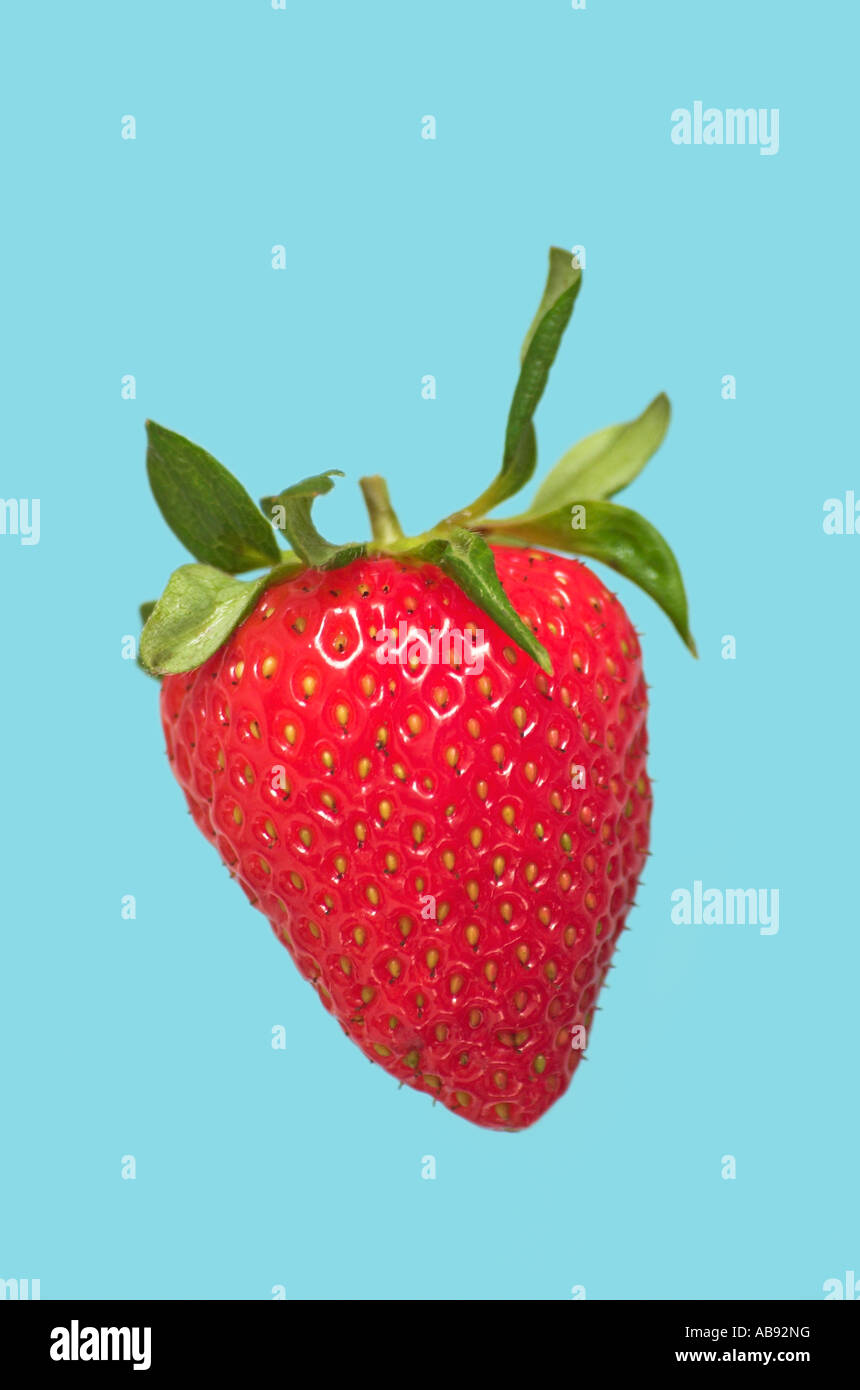 Strawberry close up Stock Photo - Alamy