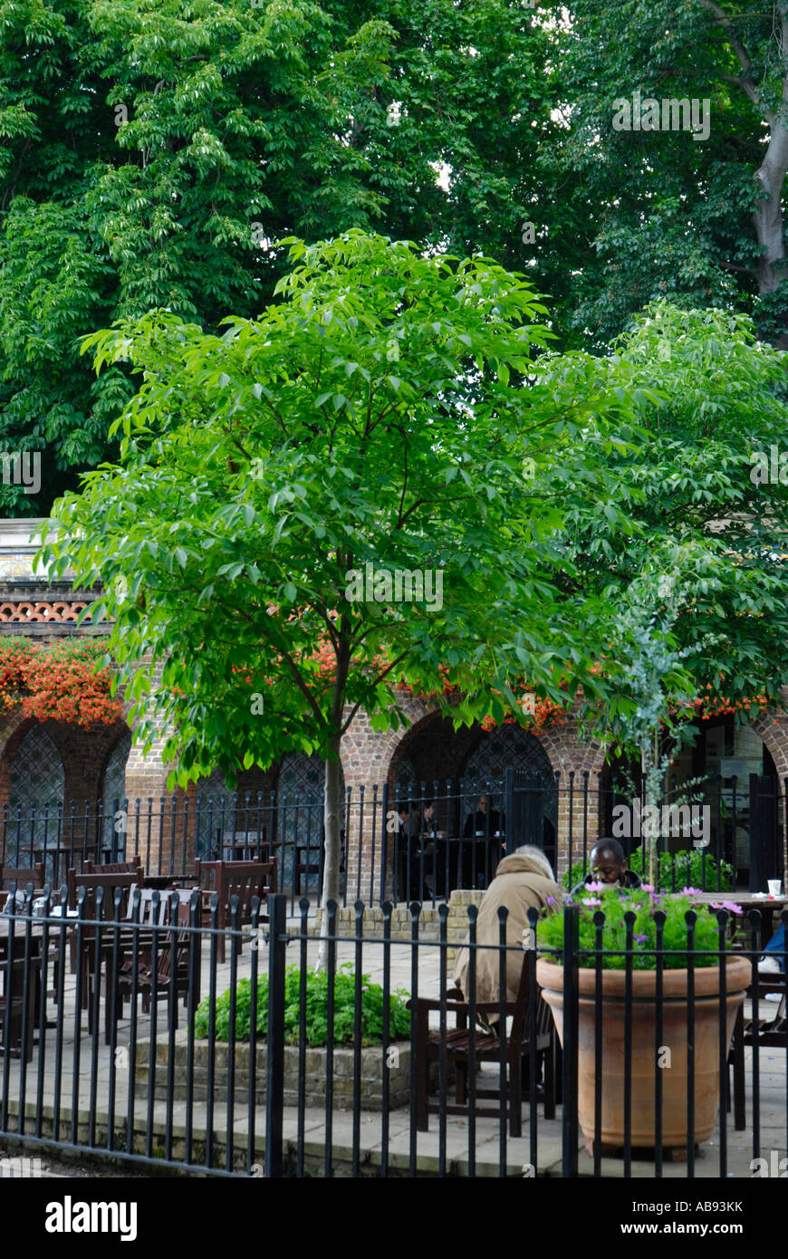 Outdoor cafe in Holland Park Kensington London England Stock Photo - Alamy