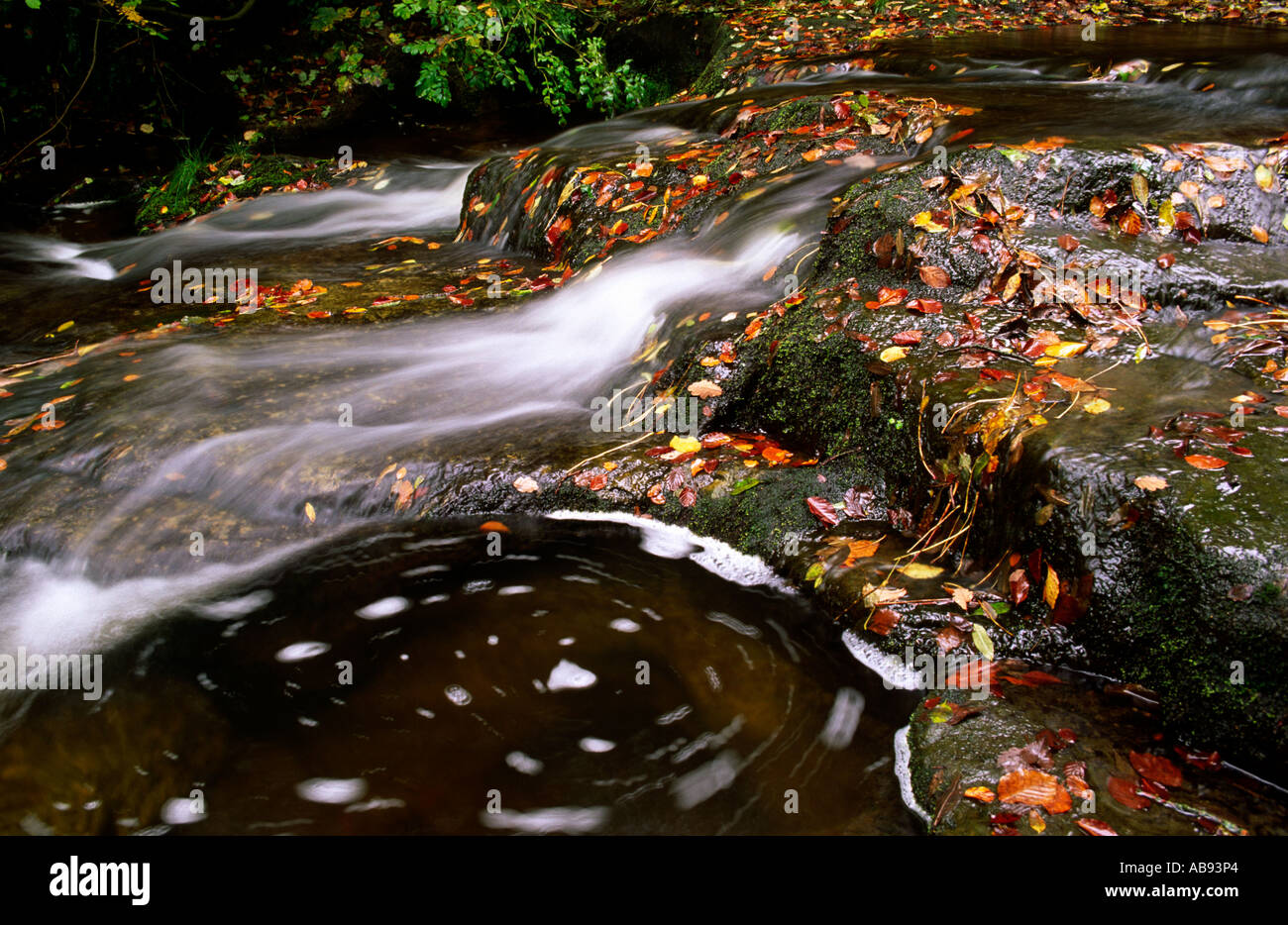 May beck hi-res stock photography and images - Alamy