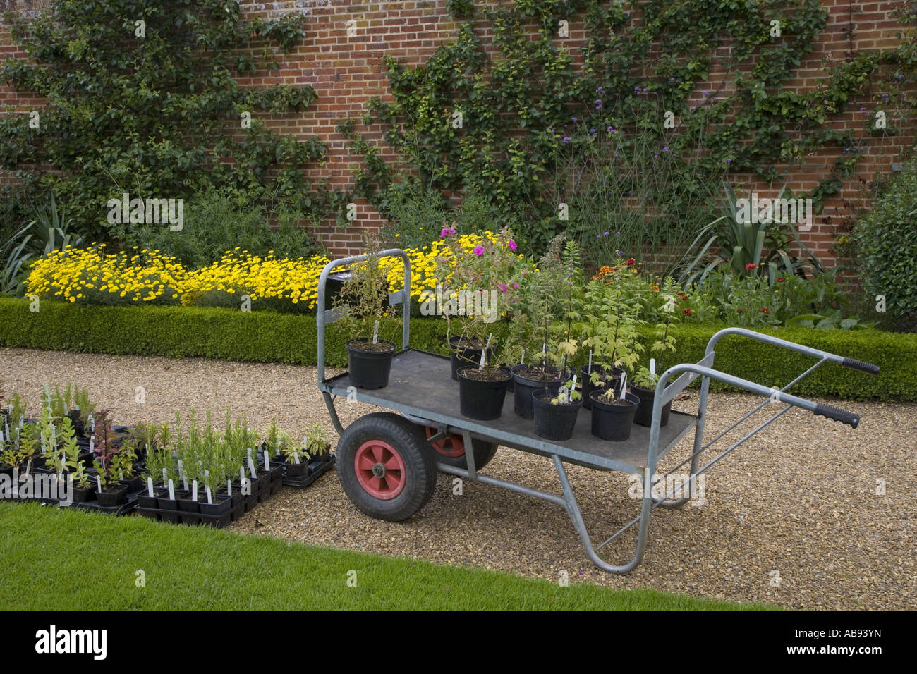 Planting Out Flowers in Walled Garden Stock Photo - Alamy