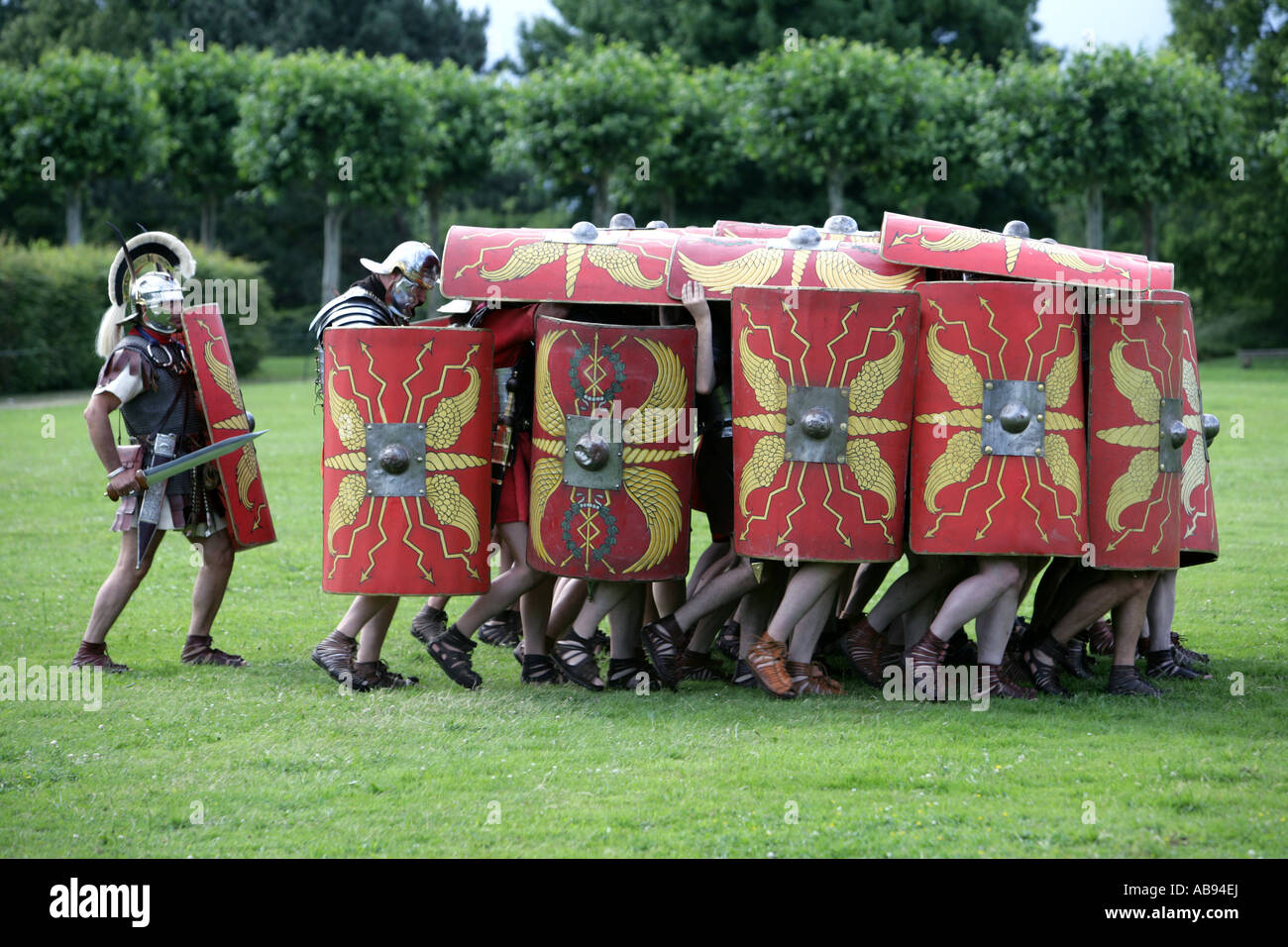 Turtle uniform hi-res stock photography and images - Alamy