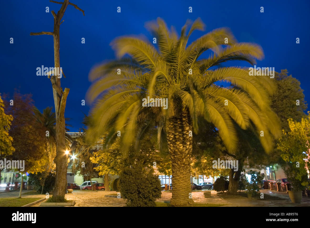 Tree blowing in wind dusk hi-res stock photography and images - Alamy