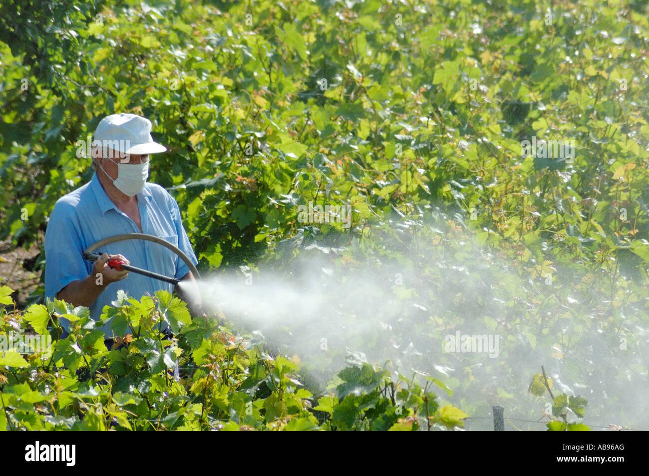 Pesticide spray hi-res stock photography and images - Alamy