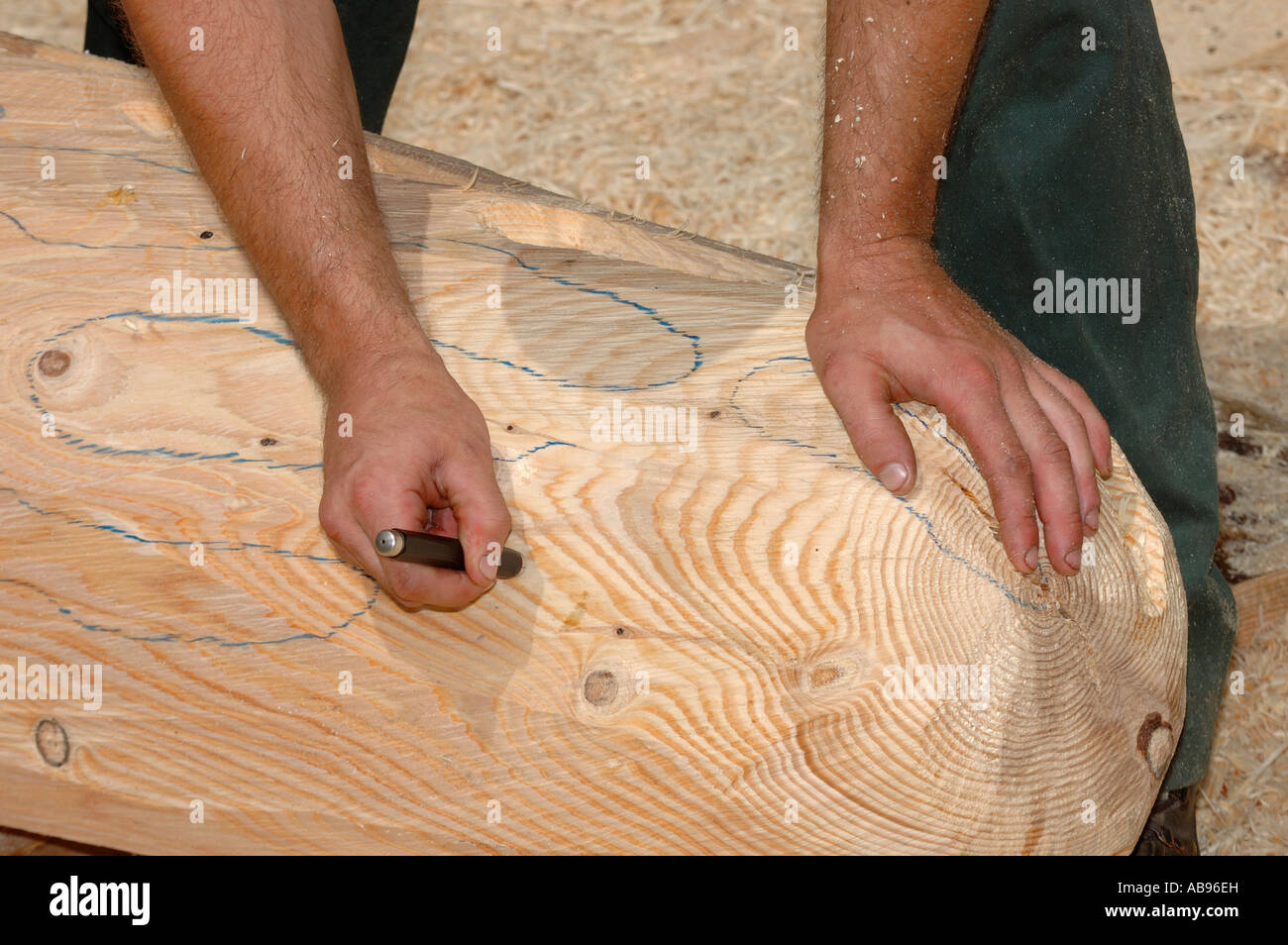A wood carver marking a pine log in preparation for his work Stock ...