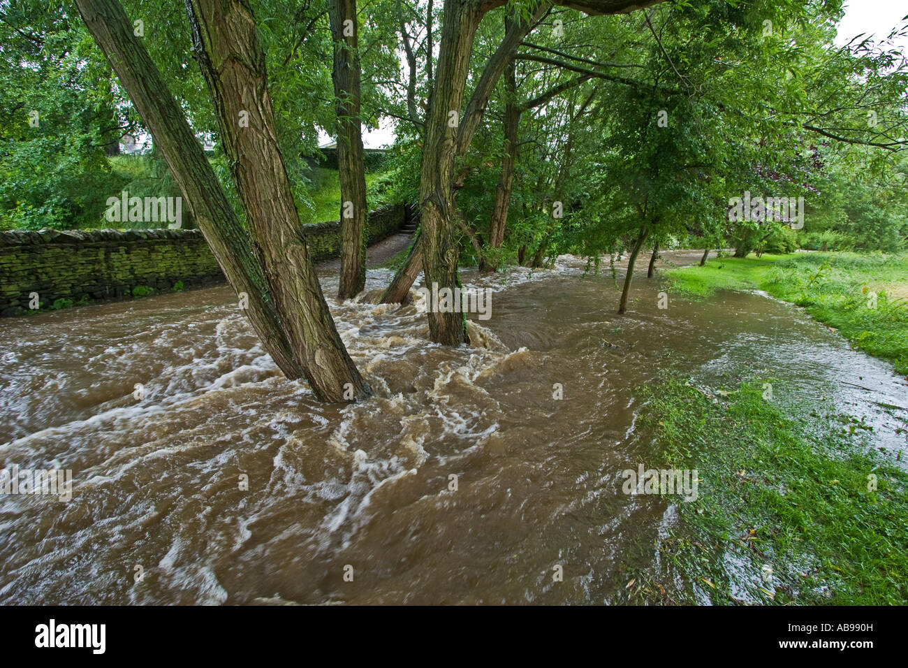 A flooded Yorkshire beck after heavy summer rain Stock Photo - Alamy
