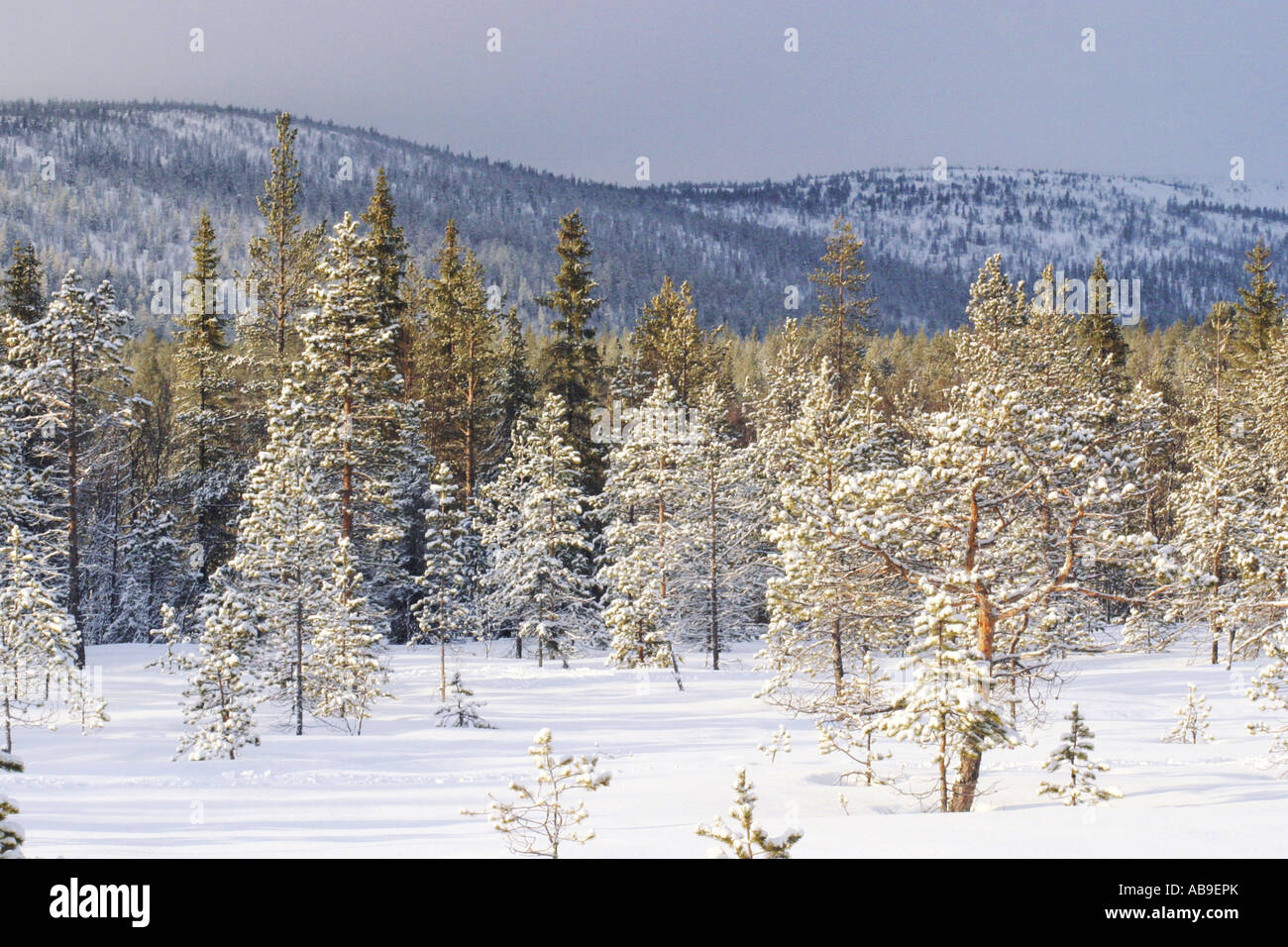 Fjeld Sirkka in Kittilae, Finland Stock Photo - Alamy