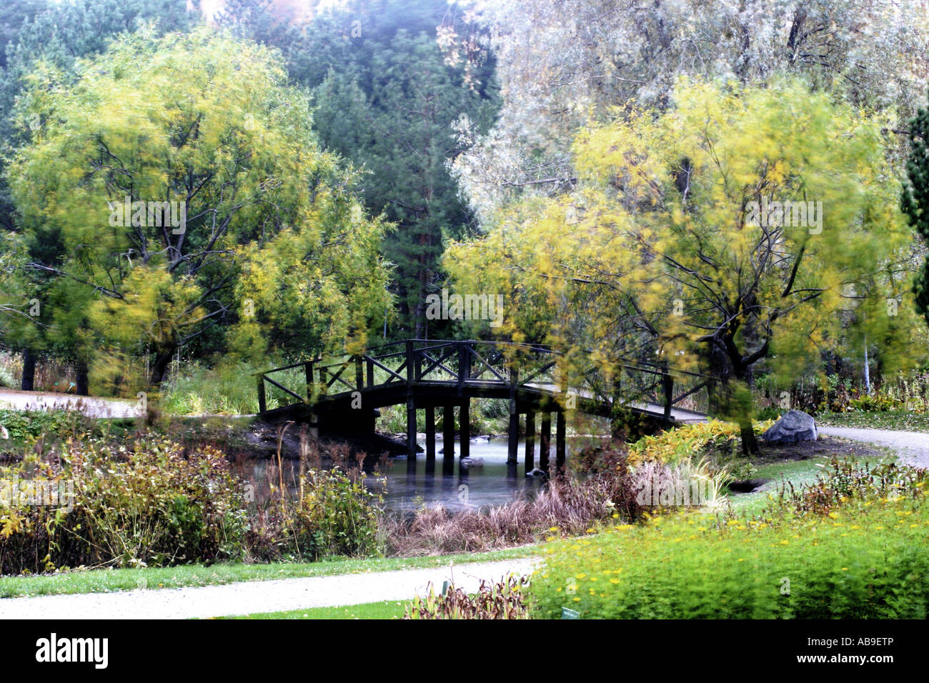 Finland garden hi-res stock photography and images - Alamy