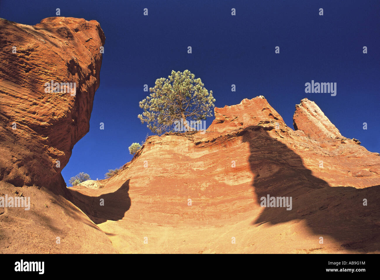 Conifer on ochre rocks from roussillon hi-res stock photography and ...