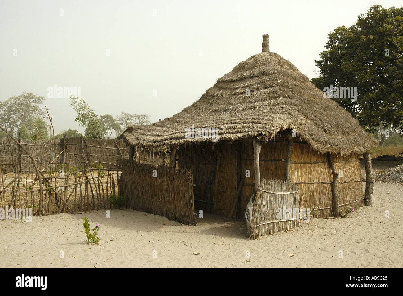 senegalese strawhut village, traditional strawhouse, Senegal, Sin ...