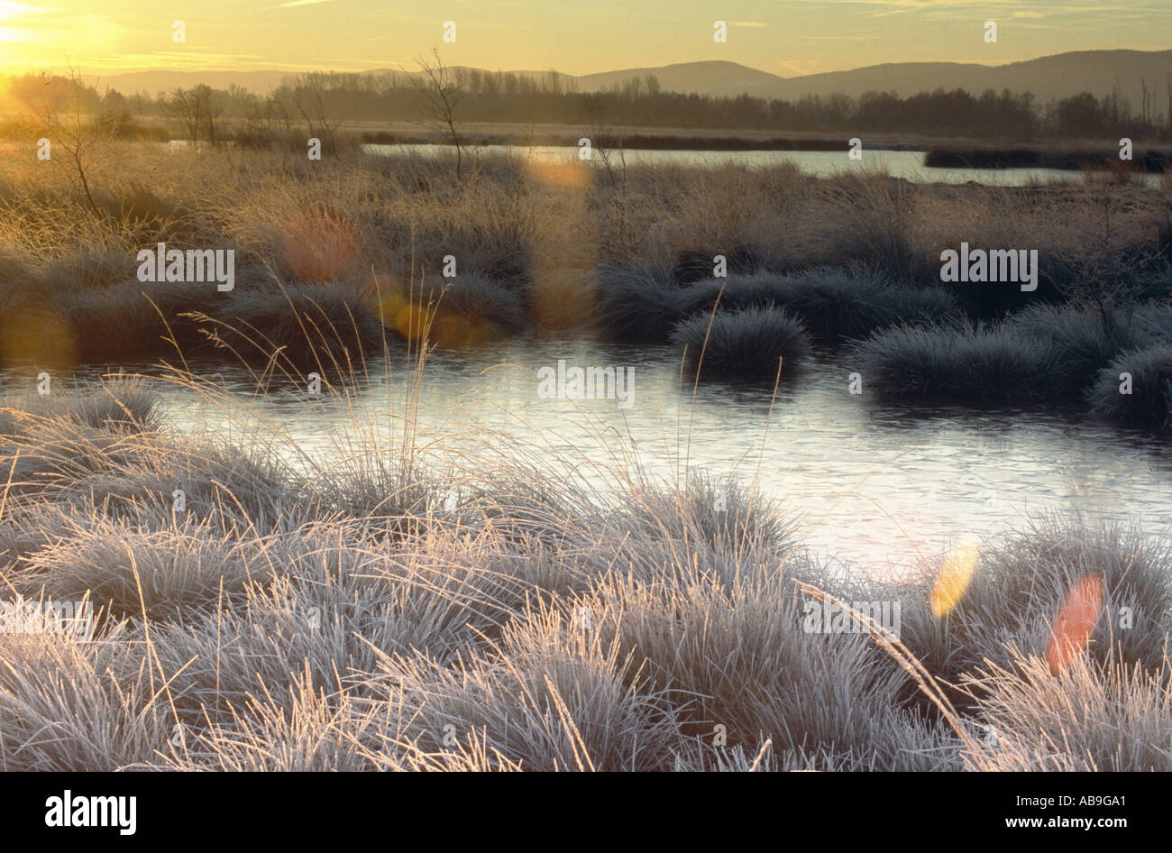 Morining mood in hiller moor hi-res stock photography and images - Alamy