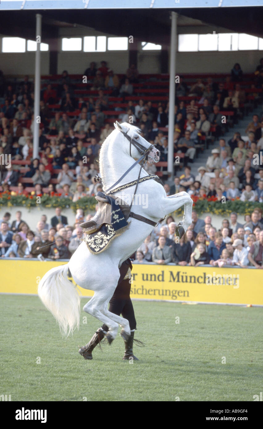 Upright jumps hi-res stock photography and images - Alamy