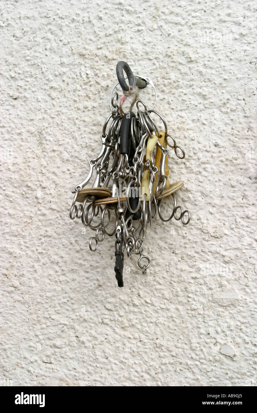 Bridle Bits High Resolution Stock Photography and Images - Alamy