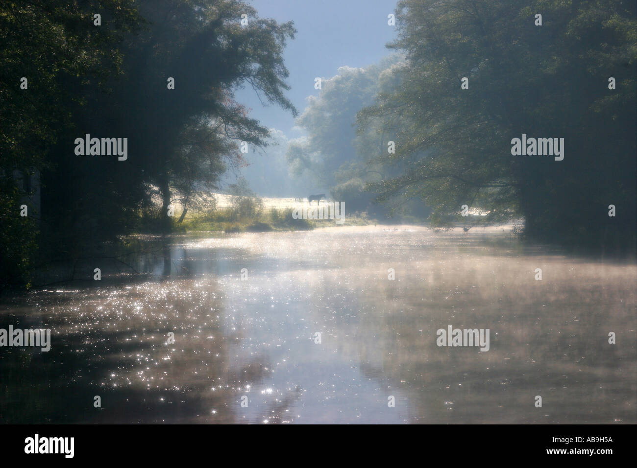 Weisse Elster, idyllic river in valley, Germany, Vogtland, Plauen, Sep ...