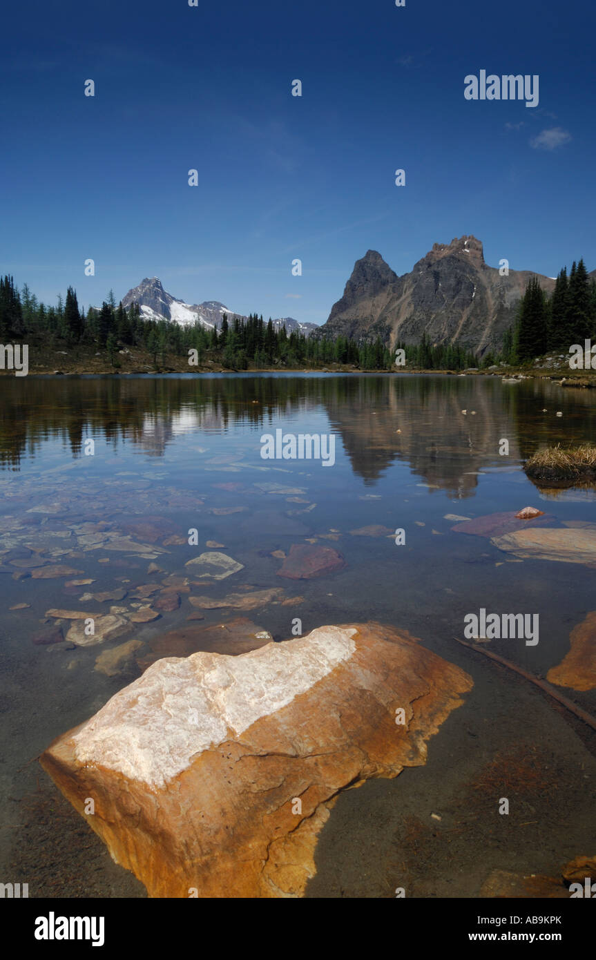 Opabin Plateau Lake O Hara Yoho National Park British Columbia Canada ...