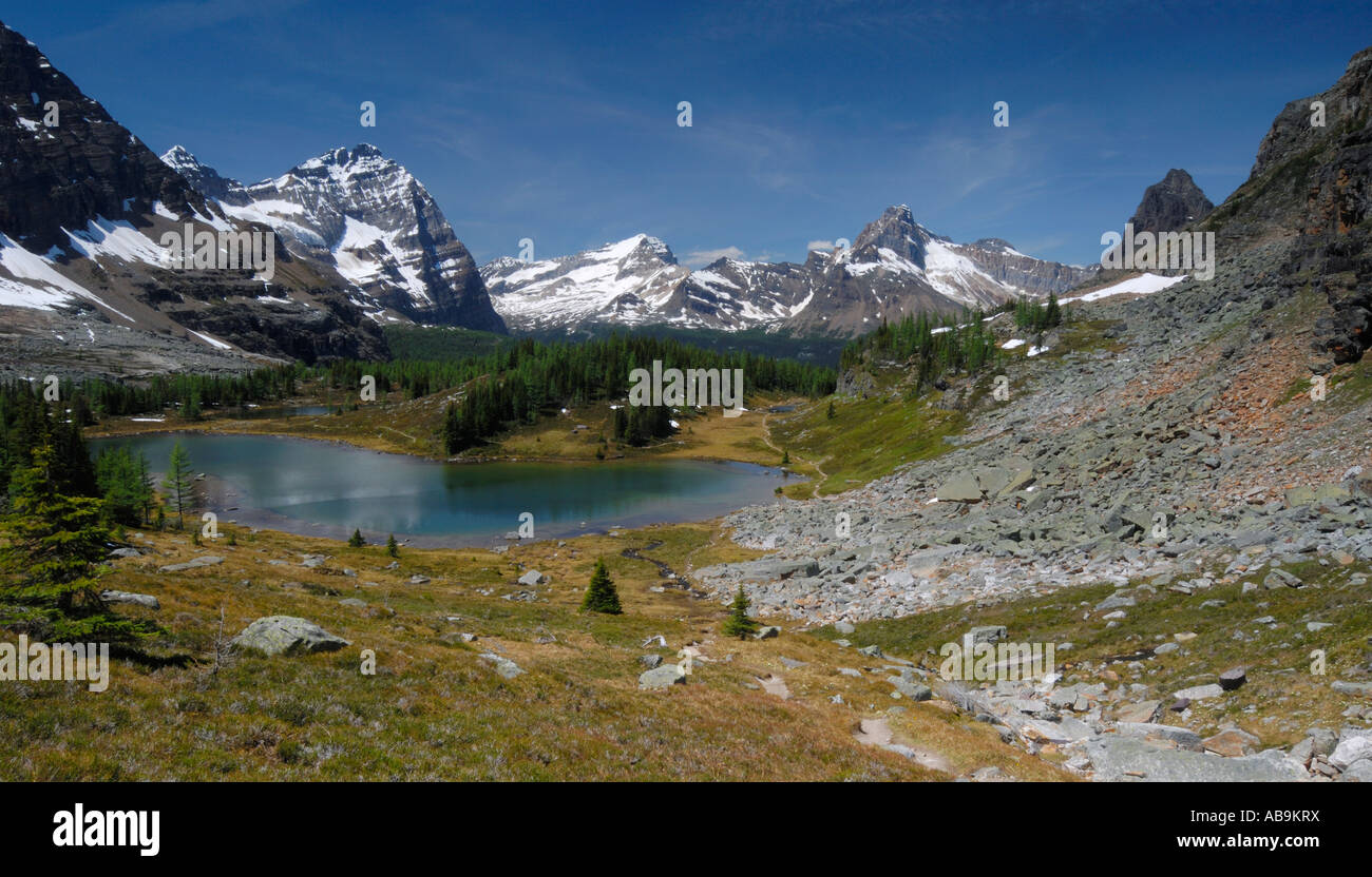 Hungabee Lake and the Opabin Plateau Lake O Hara Yoho National Park ...