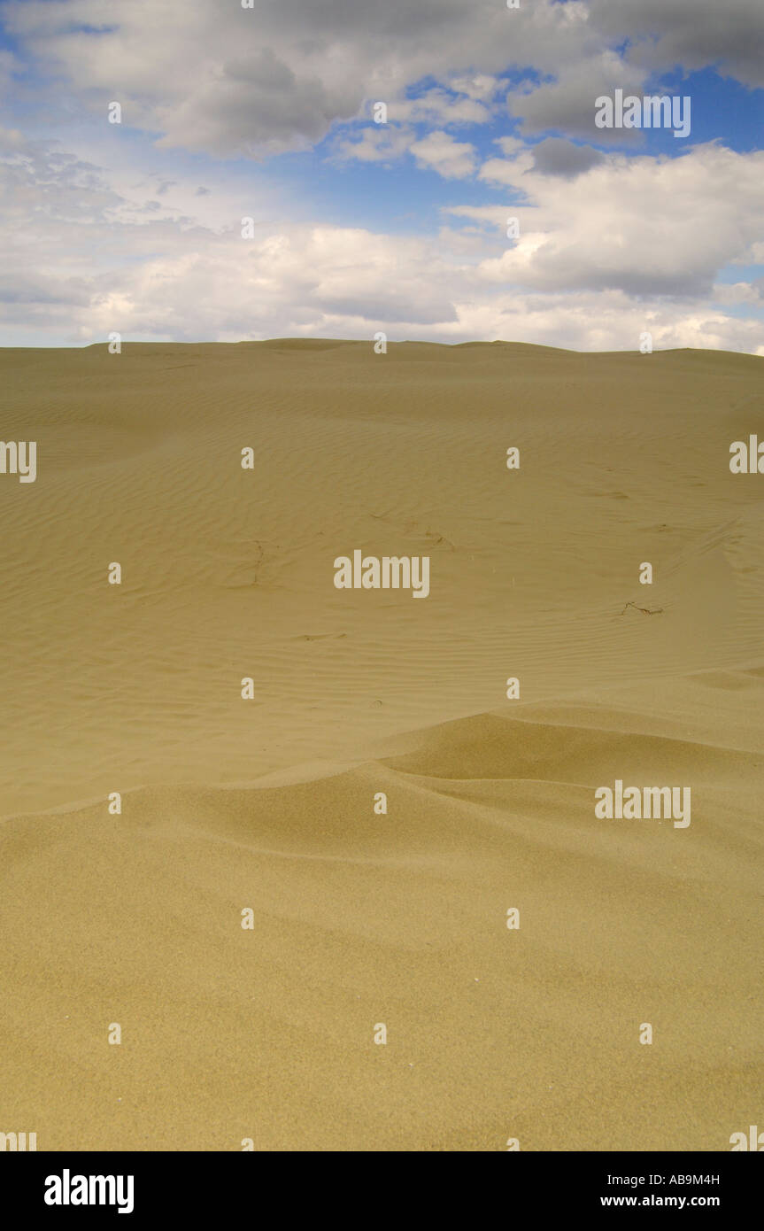 Sand dunes in the Great Sand Hills of Saskatchewan south of the town of ...