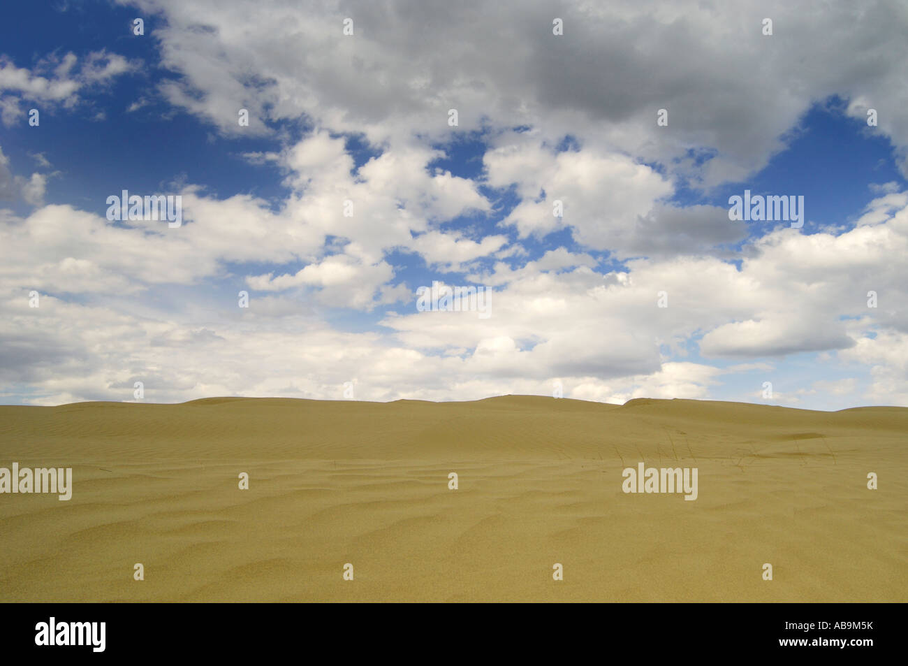 Sand dunes in the Great Sand Hills of Saskatchewan south of the town of ...