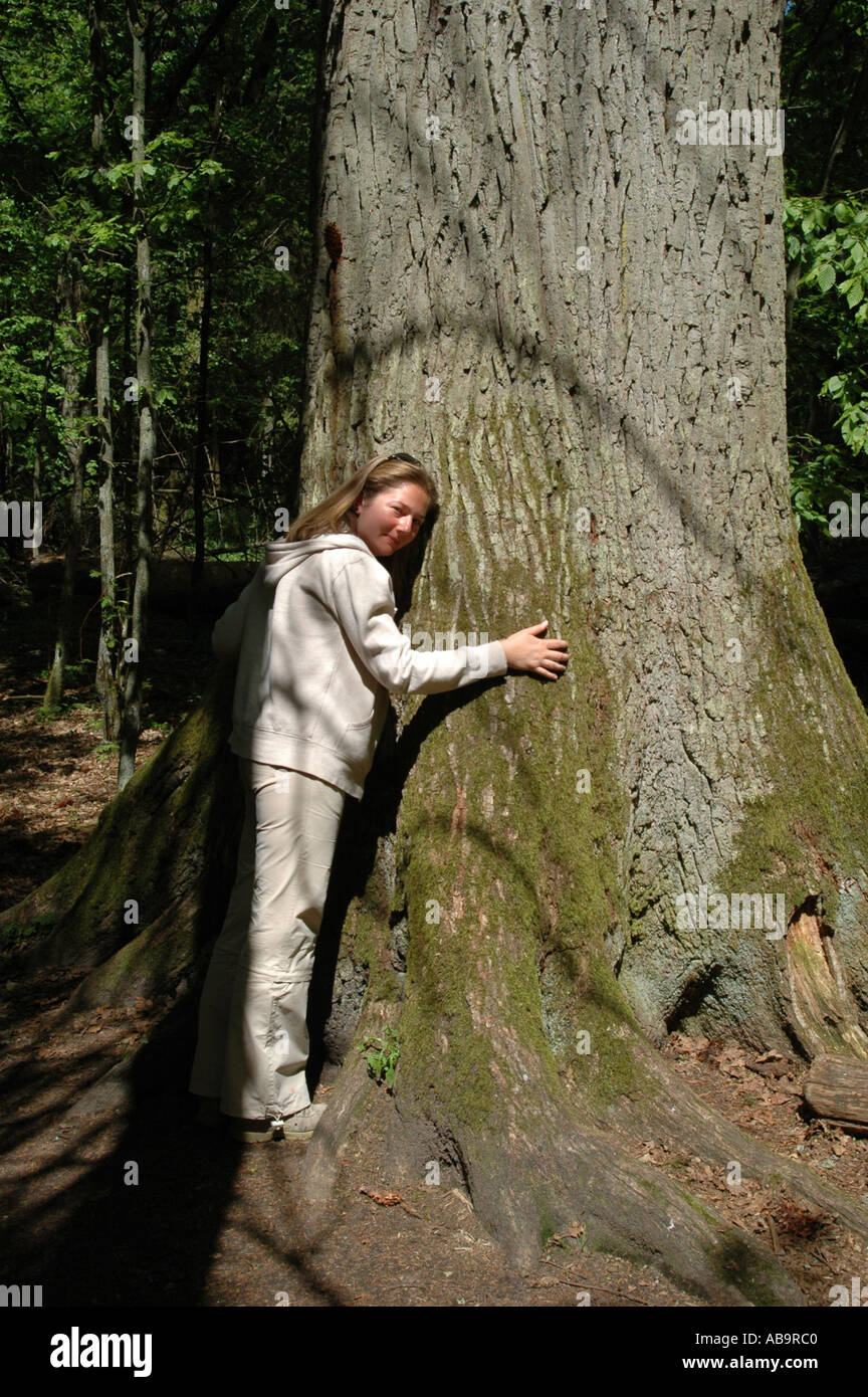 Woman embracing huge tree trunk in Bialowieza National Park Strict ...
