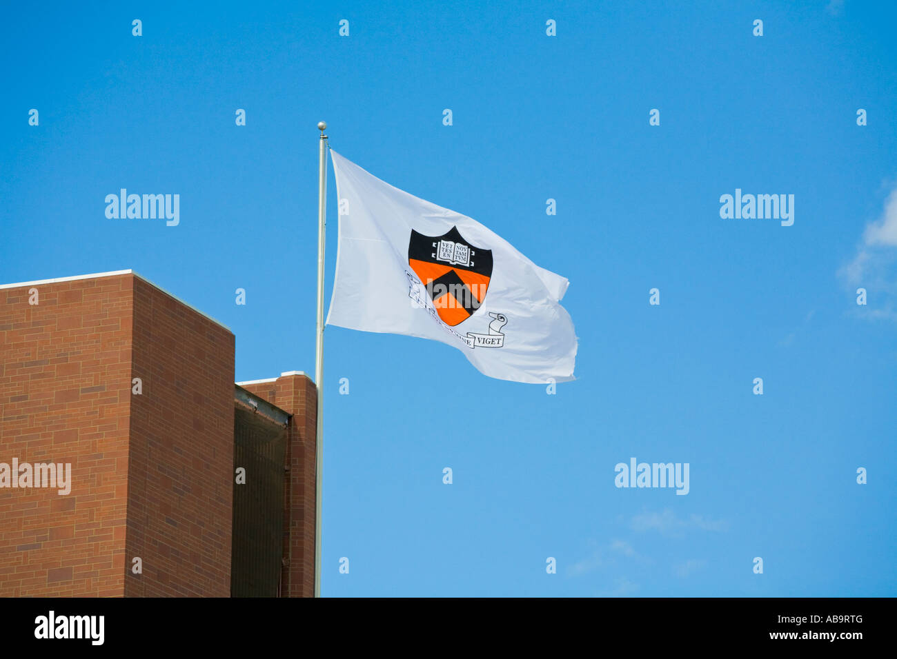 Princeton University Flag