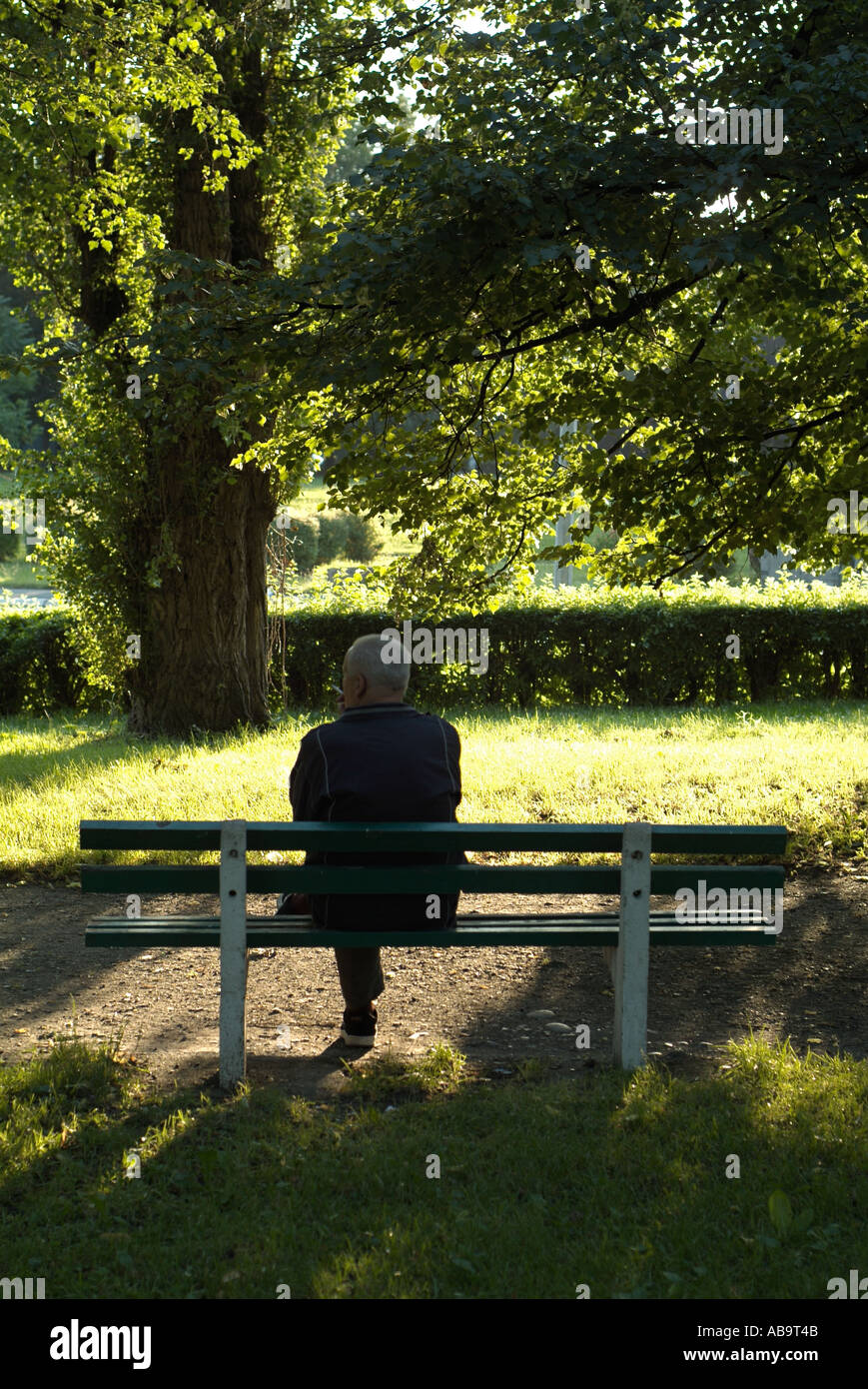 Man sitting under shade tree hi-res stock photography and images - Alamy