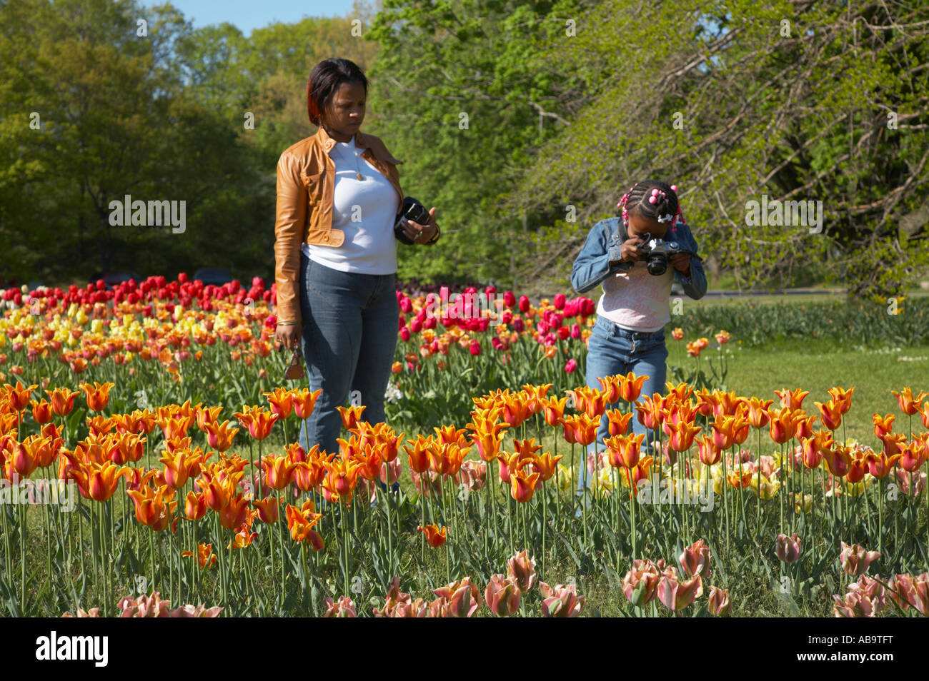 Lilac Festival Rochester Ny