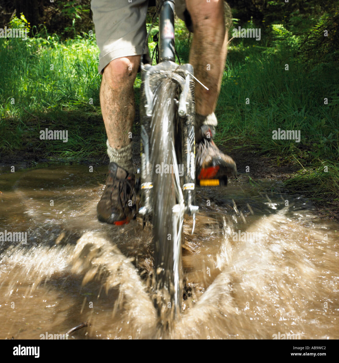 Close up of cyclist s legs and bicycle wheel in motion riding through ...