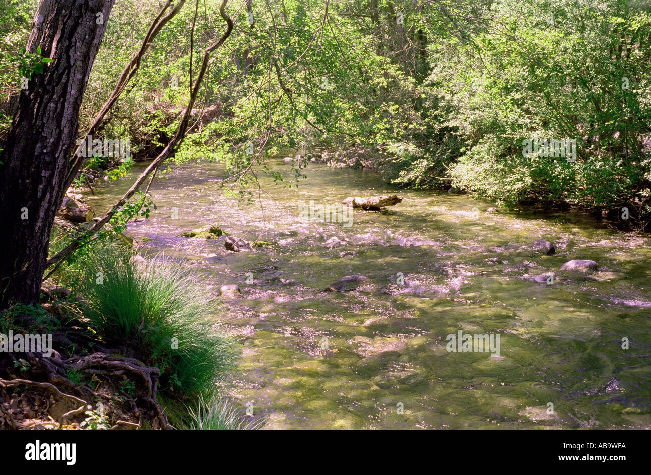Burbling hi-res stock photography and images - Alamy