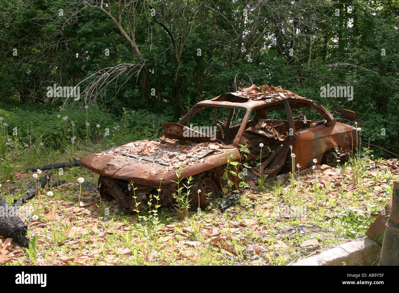 Rusty wrecked car in the woods Stock Photo - Alamy