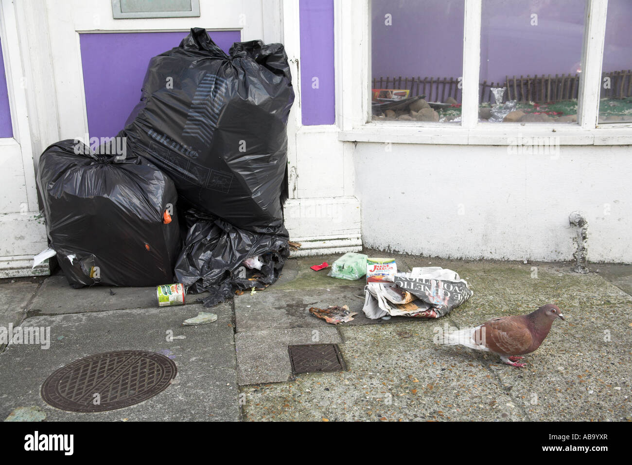 Rubbish spilled on the street with Pigeon Stock Photo - Alamy