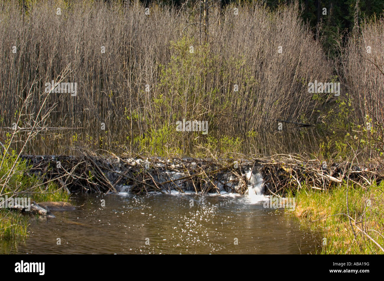 Waterway obstruction hi-res stock photography and images - Alamy