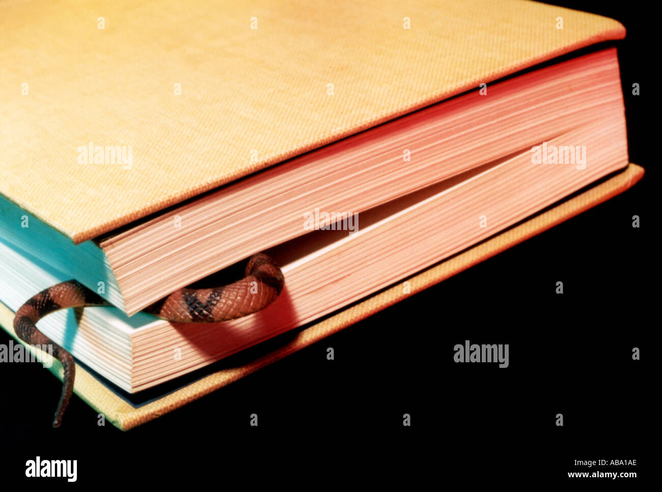 Book worm hi-res stock photography and images - Alamy