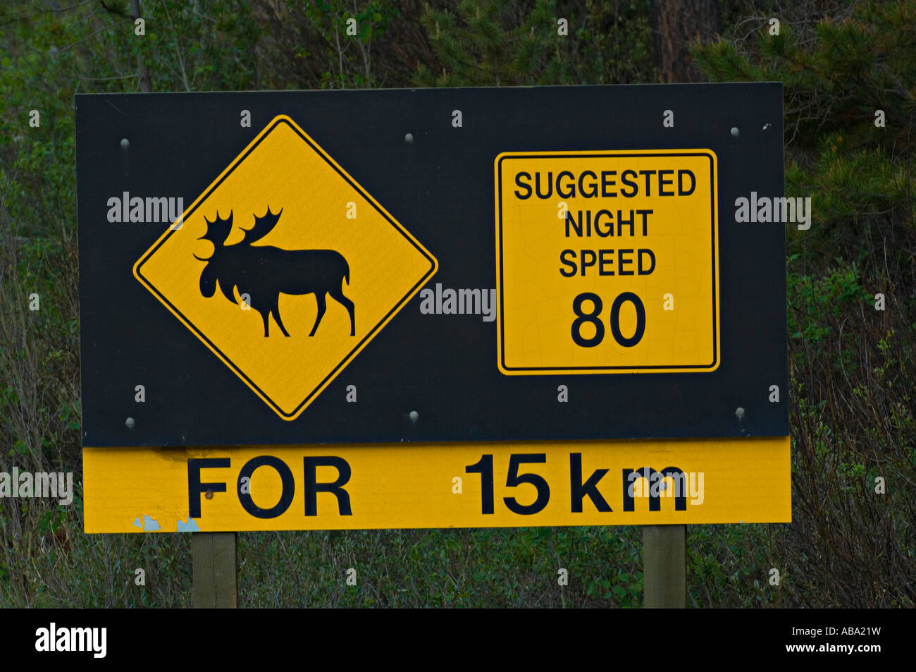 Moose crossing road sign canada hi-res stock photography and images - Alamy
