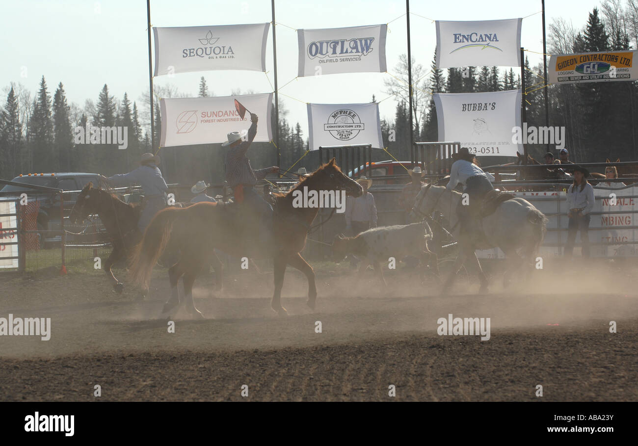 Team Roping in the dust Stock Photo - Alamy