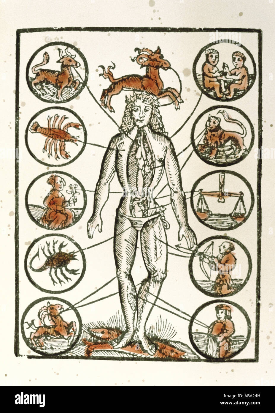 medicine, treatment, bloodletting, venesection and zodiac, coloured ...