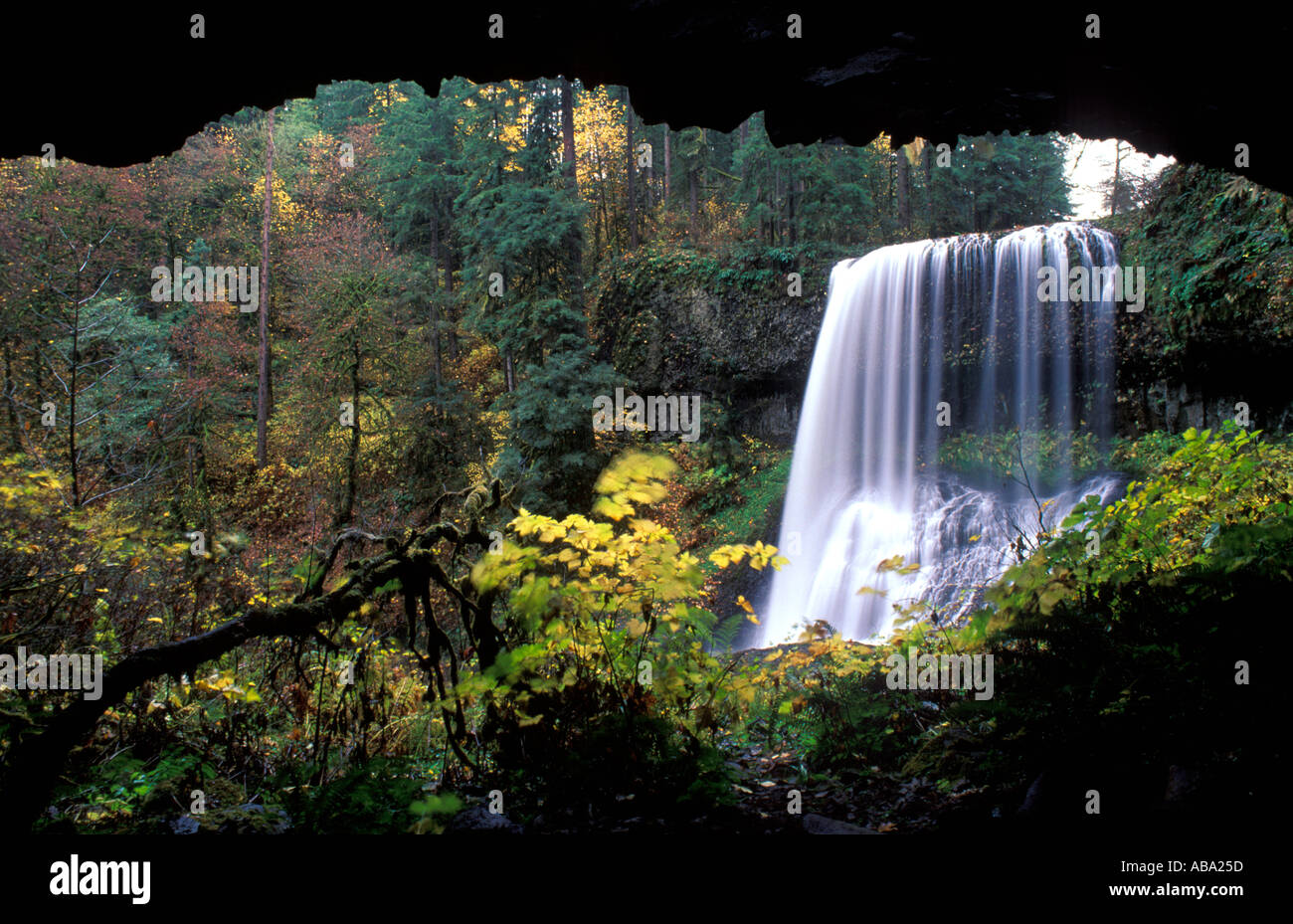 Silver Creek Falls State Park Oregon USA Stock Photo - Alamy