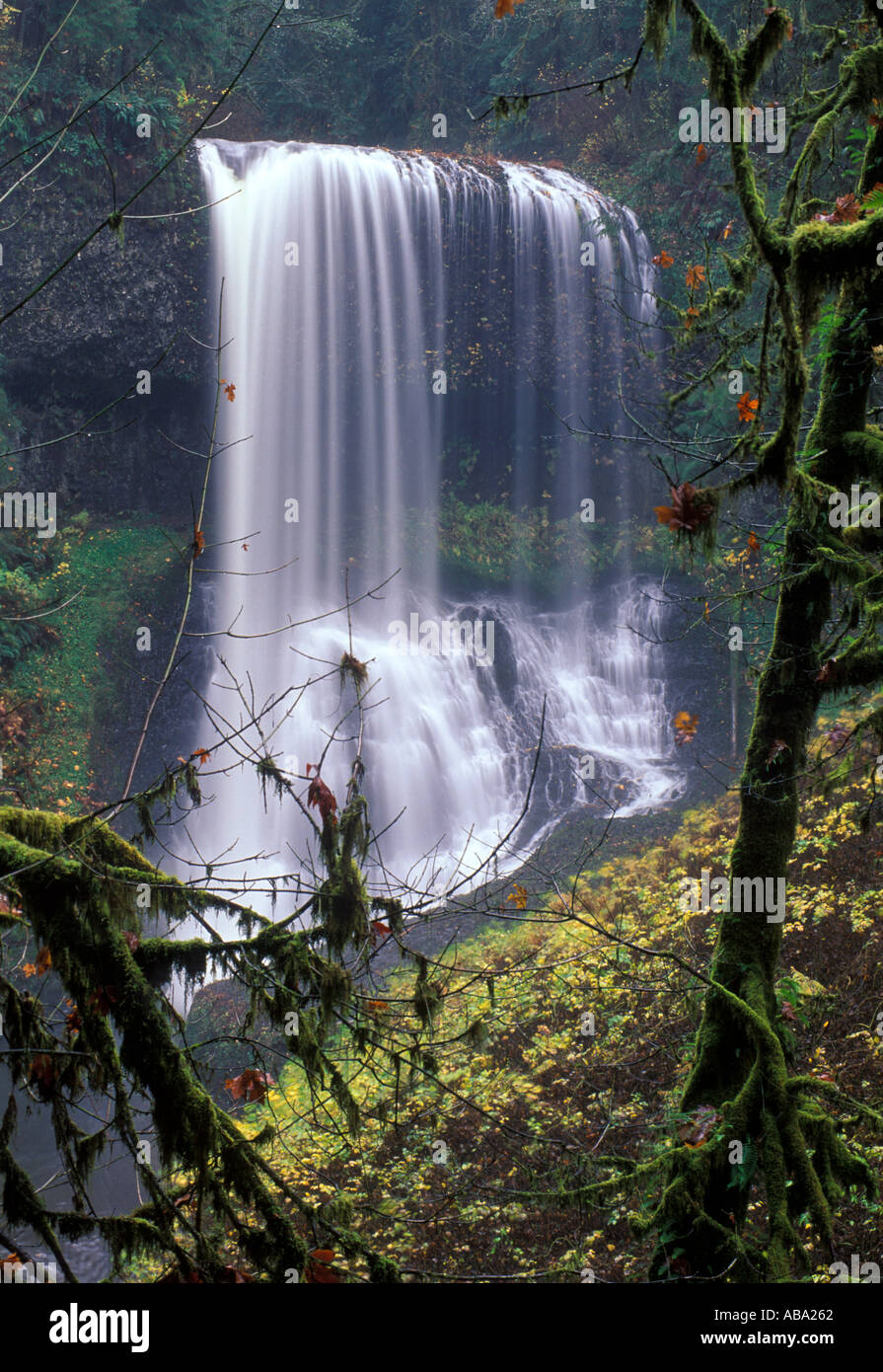 Silver Creek Falls State Park Oregon USA Stock Photo - Alamy