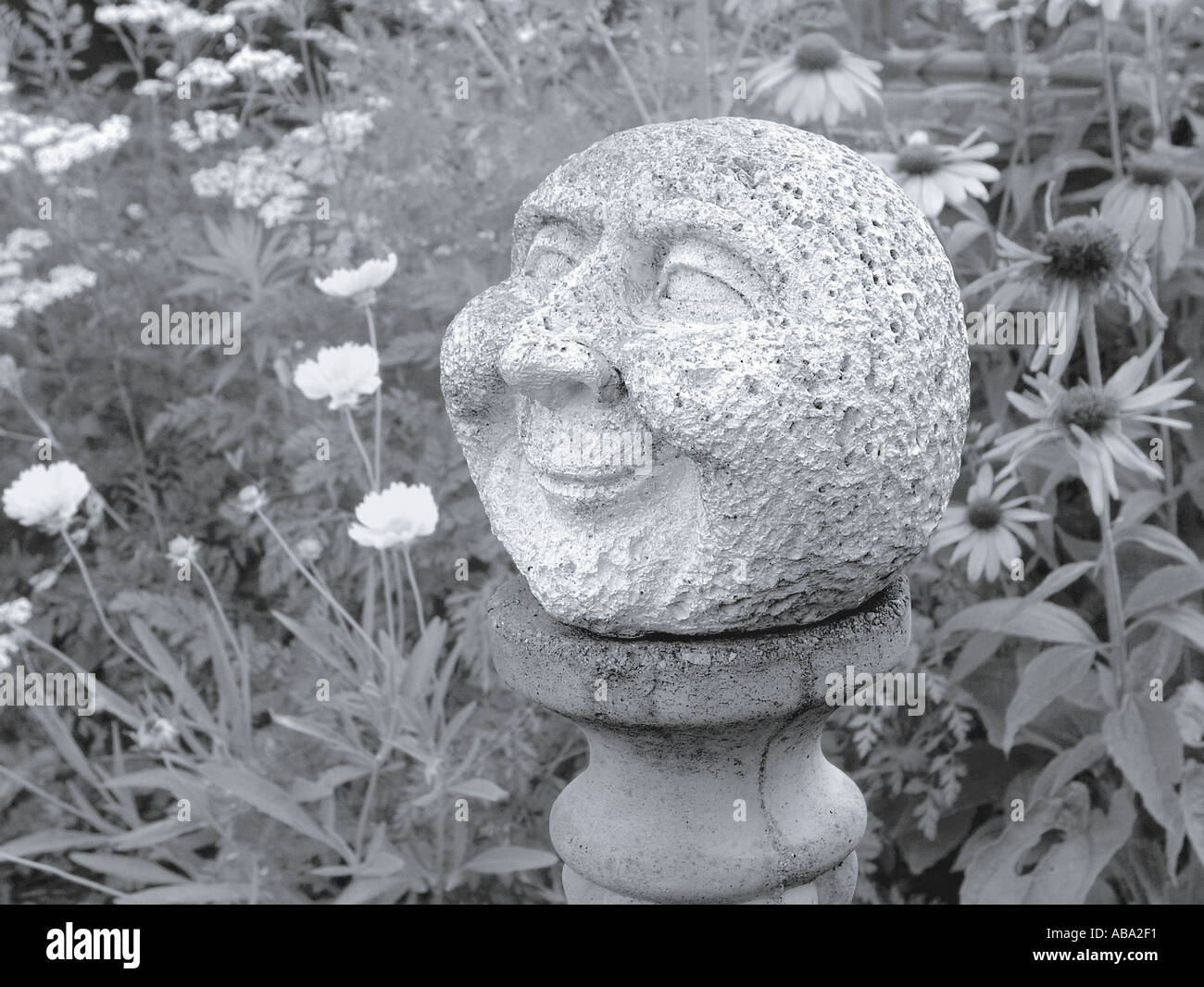 Happy Pleasantry High Resolution Stock Photography and Images - Alamy