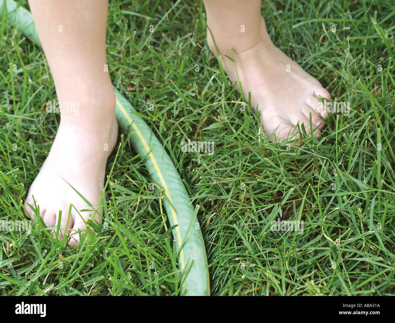 CHILDS FEET with the garden hose in the grass Stock Photo - Alamy