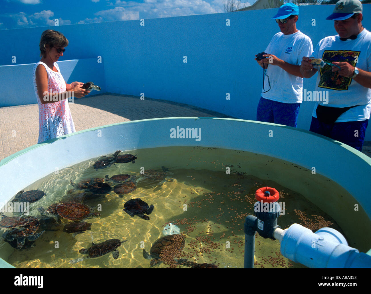 Tourists at the Turtle Farm Grand Cayman Caymans Islands BWI Stock ...