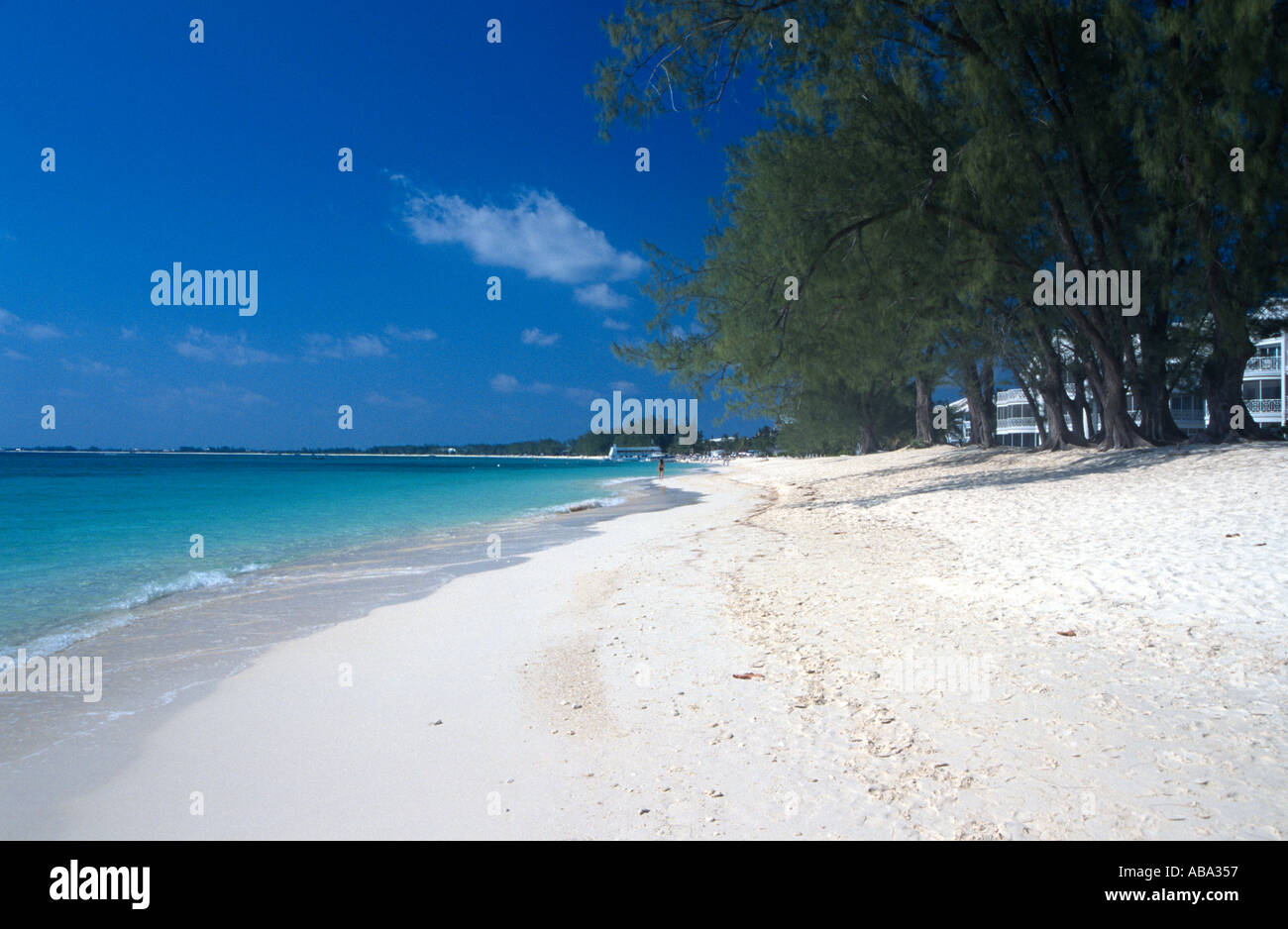 Seven Mile Beach Grand Cayman Caymans Islands BWI Stock Photo - Alamy