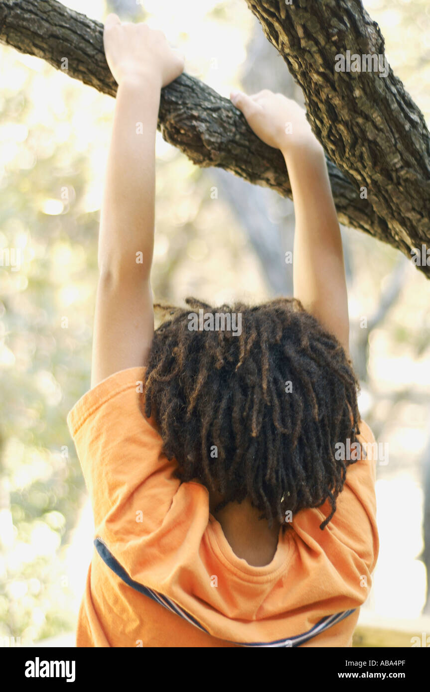 Young boy hanging from a tree branch Stock Photo - Alamy