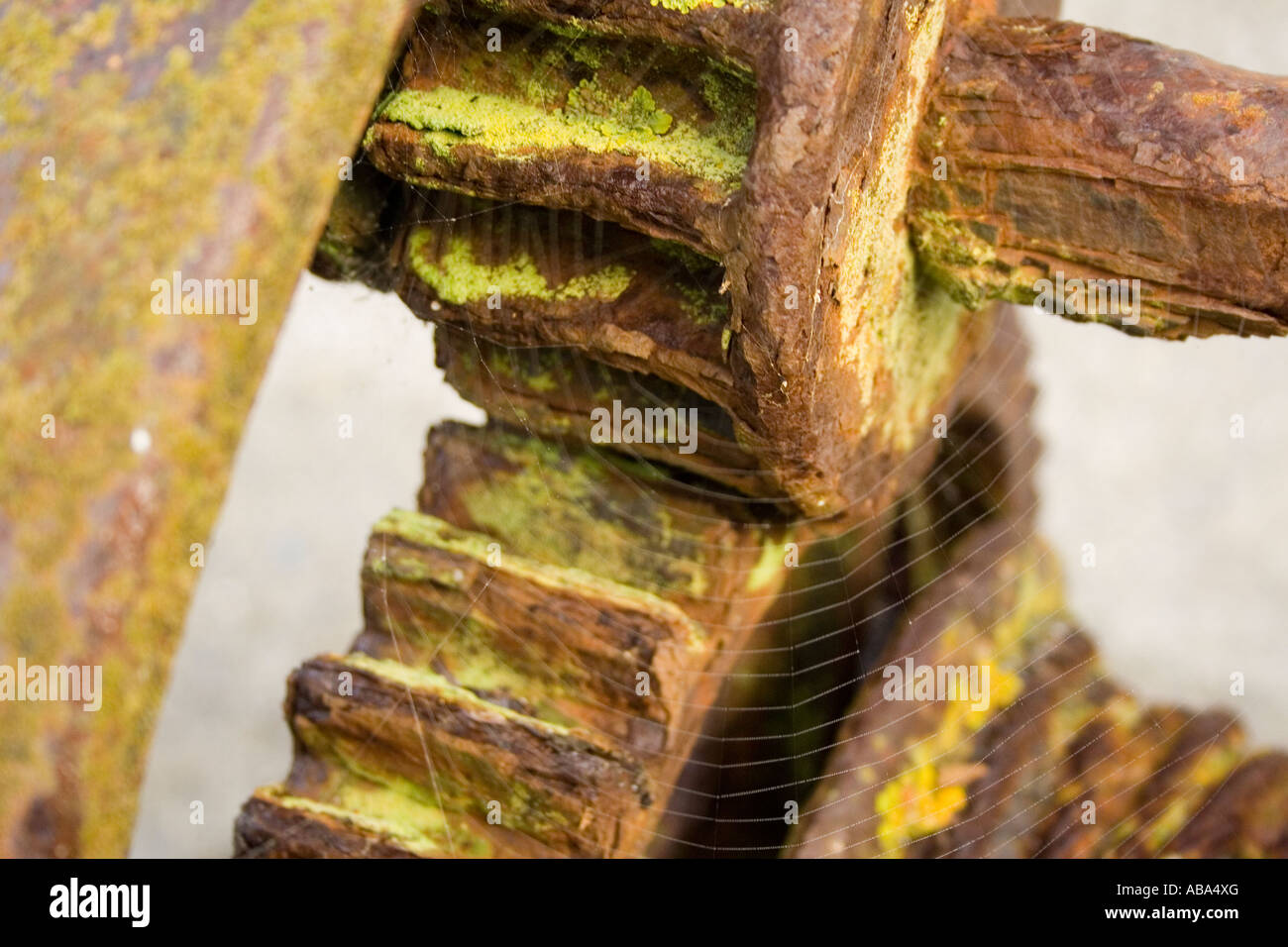 Cobweb on an Old Rusty Winch, Gribbin 2006 Stock Photo - Alamy