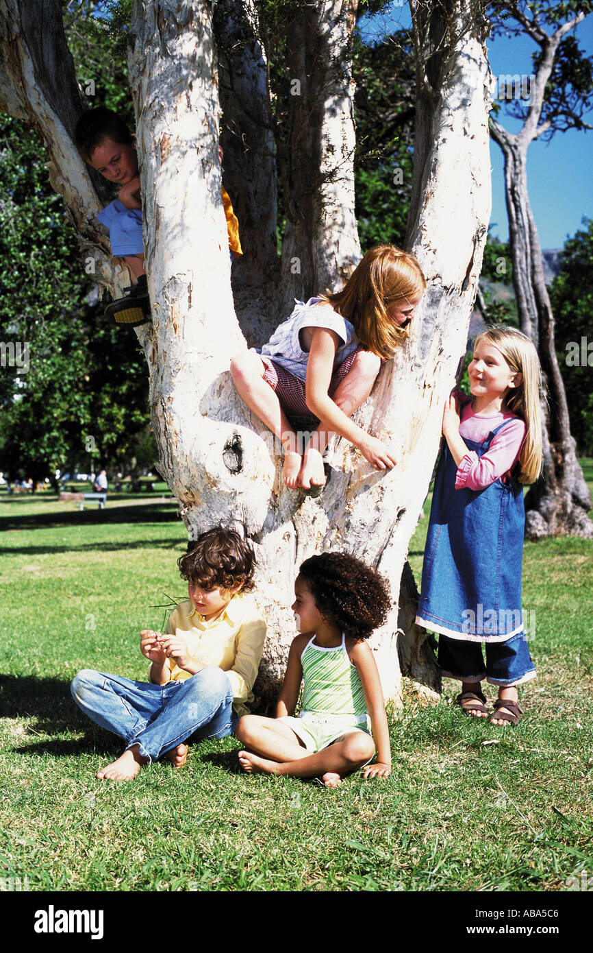 Children playing on a tree Stock Photo - Alamy