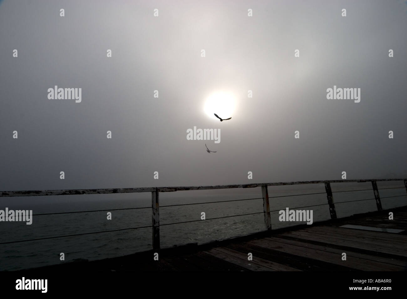 Flying through the jetty hi-res stock photography and images - Alamy