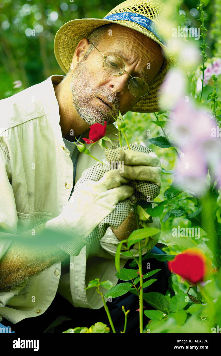 Older men gardening hi-res stock photography and images - Alamy