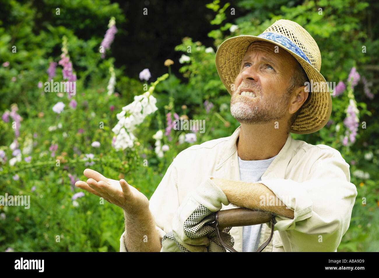 Older men gardening hi-res stock photography and images - Alamy