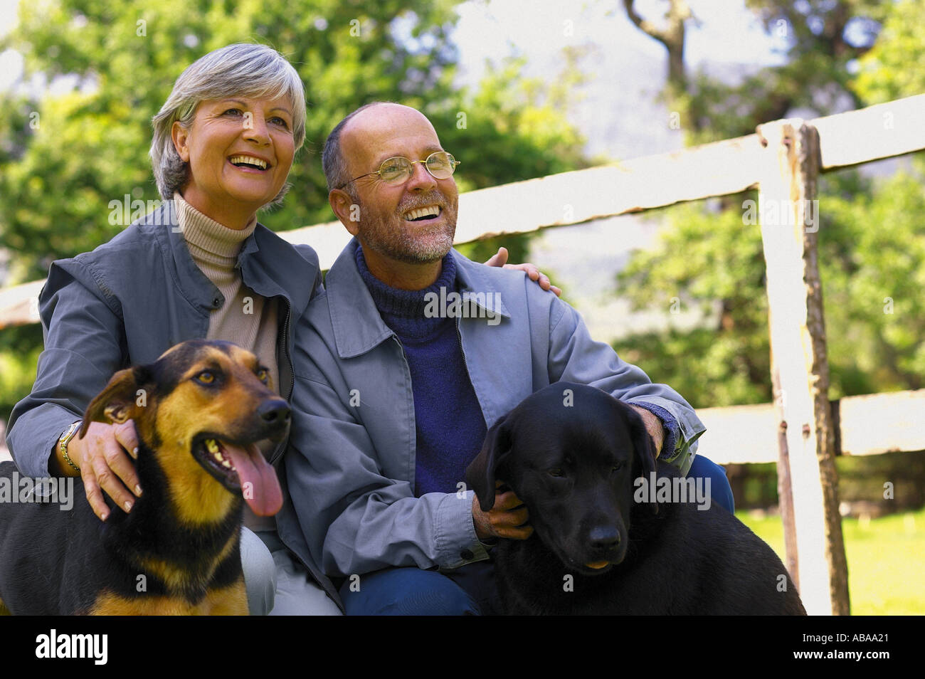 Married dogs hi-res stock photography and images - Alamy