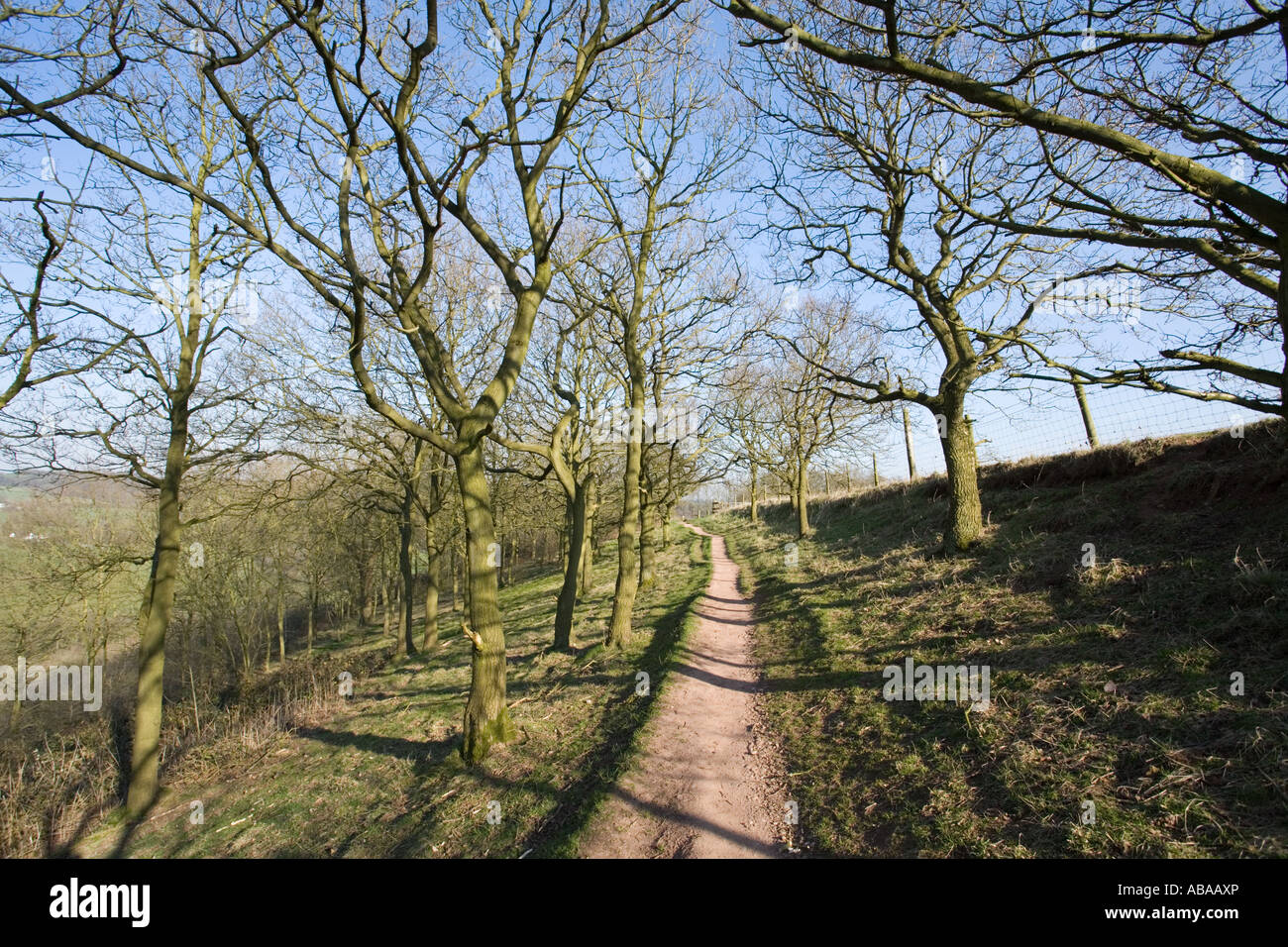 walking in the Clent Hills in the english midlands England UK Stock ...