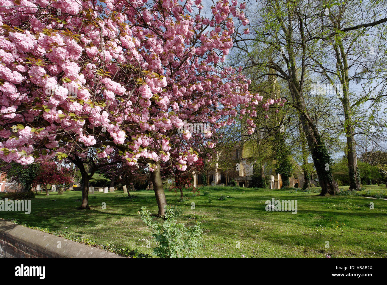 Pershore Abbey Worcestershire England UK Stock Photo - Alamy