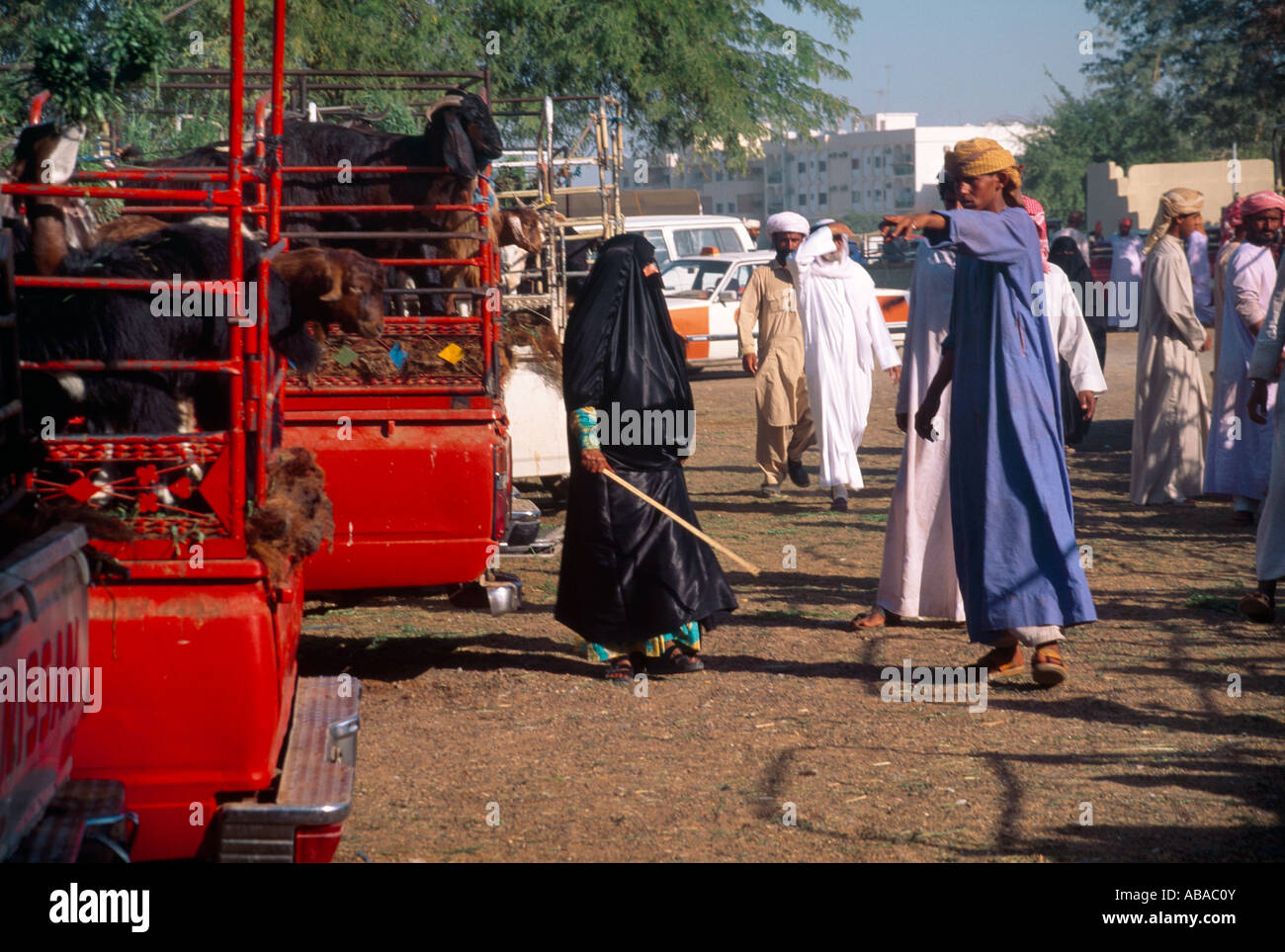 Abu Dhabi UAE Al Ain Livestock Market Tribespeople Stock Photo - Alamy